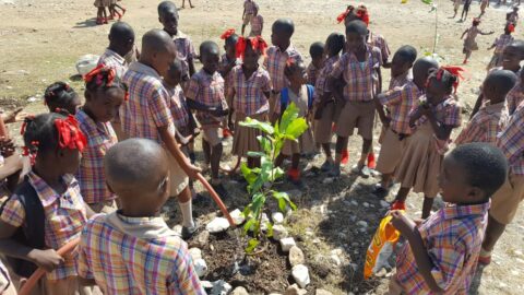 Trees in Thomazeau - Hope for Haiti's Children